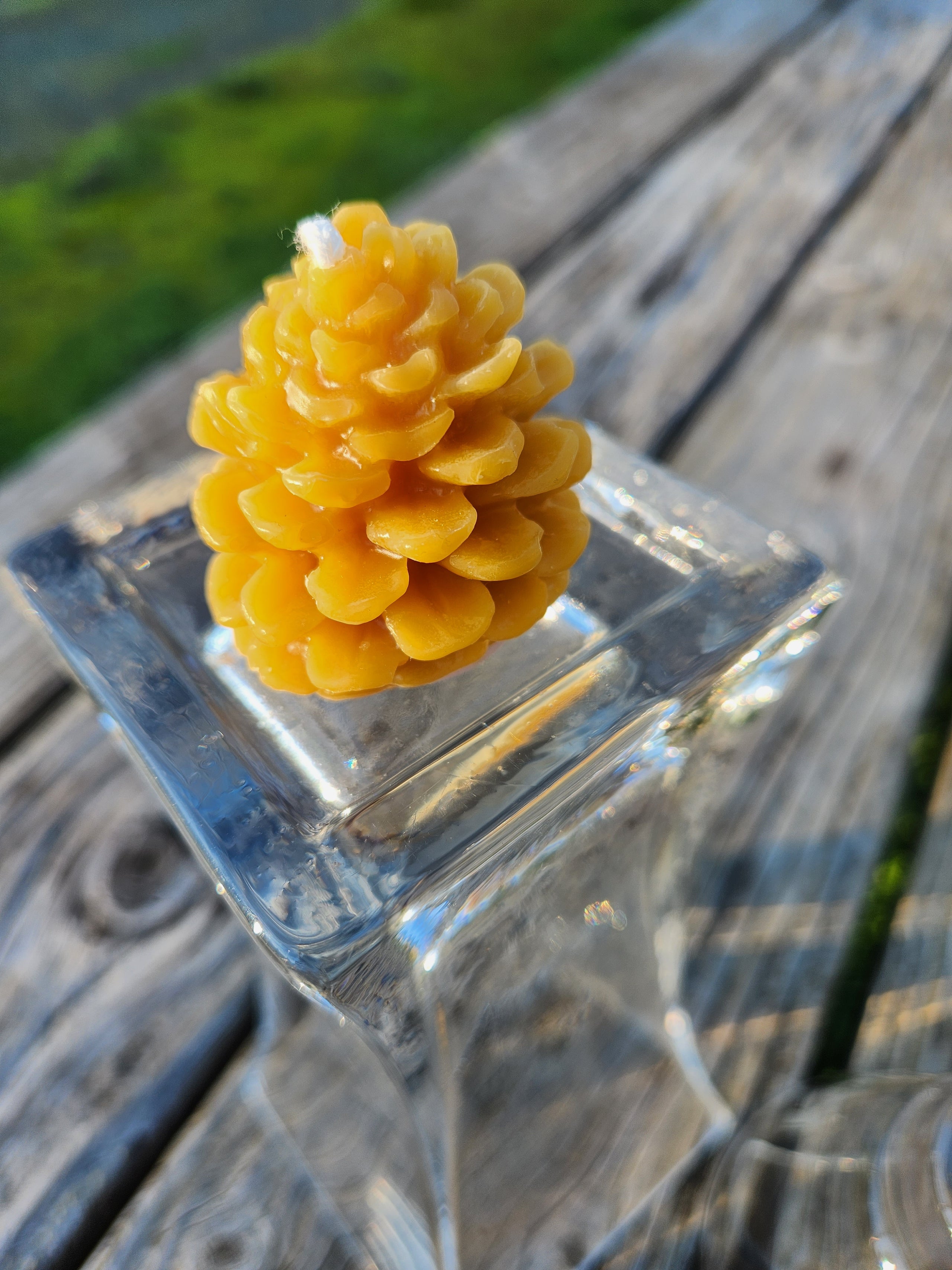 Pinecone / Small | Dairy Creek Farm